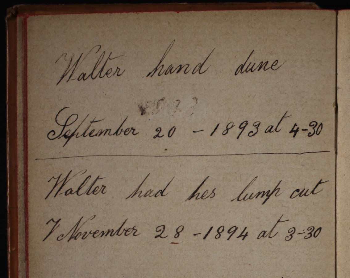 Ruth's Ancestor's: The Davidson Family