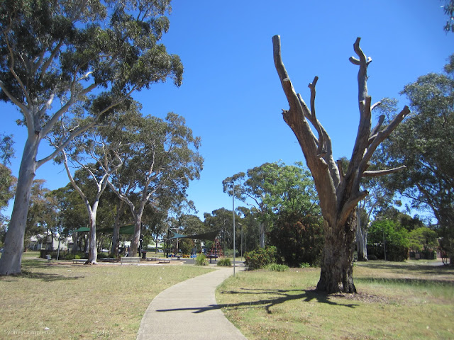 Unarmed: Holsworthy - Completing Sydney