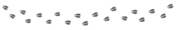 Moose Tracks 2012: Moose Tracks