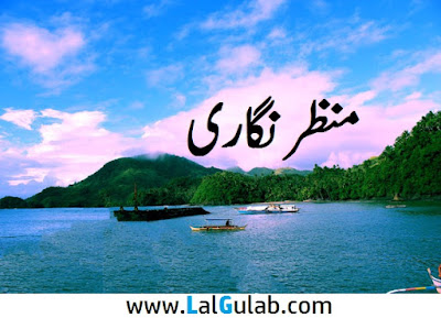 How To Use Imagery In Novel Urdu Manzar Nigari Add Beautiful Scenes In ...