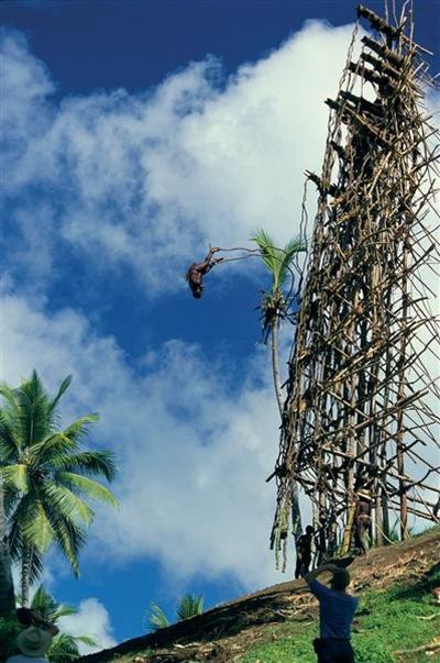Pix Grove: Land Diving In Vanuatu