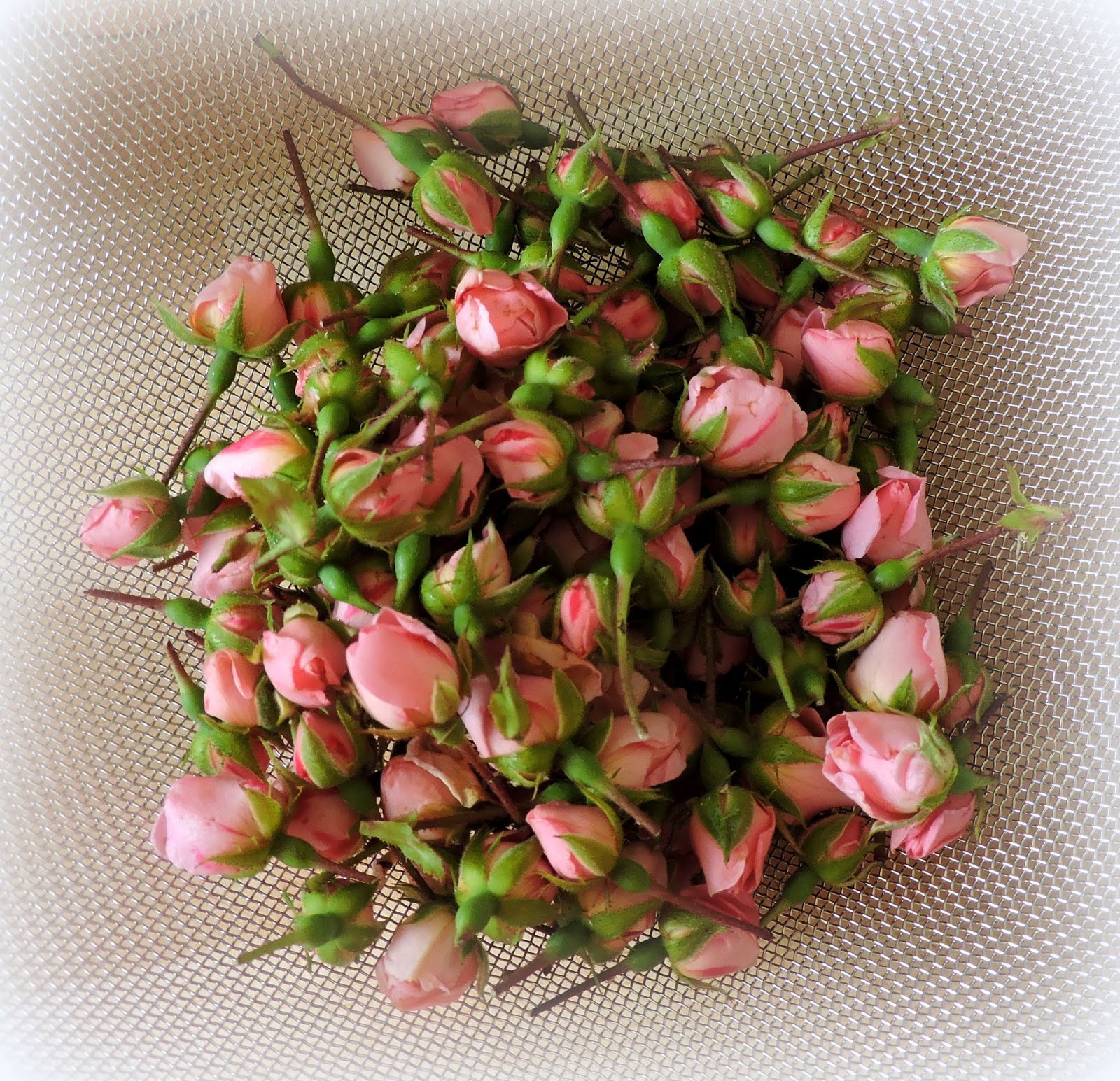 Crystallised Rose Buds | The English Kitchen