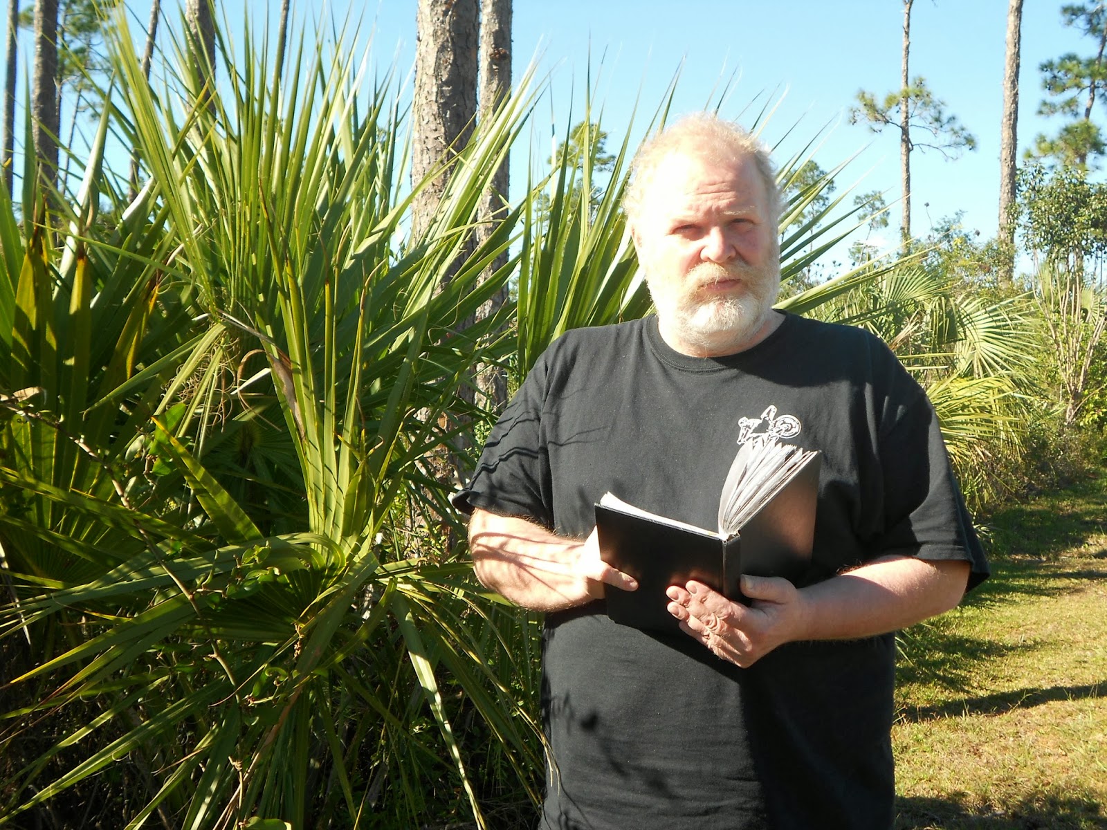 Everglades Volunteer Program: Painter Rodney Dickson to Lecture January ...