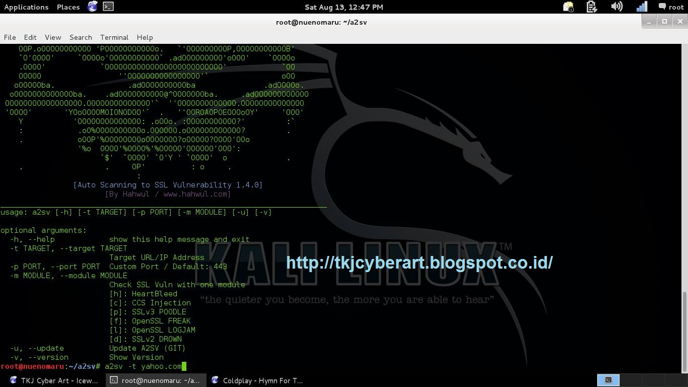 Scan Celah Ssl Pada Website Menggunakan A2sv Auto Scanning To Ssl Vulnerability Tkj Cyber Art