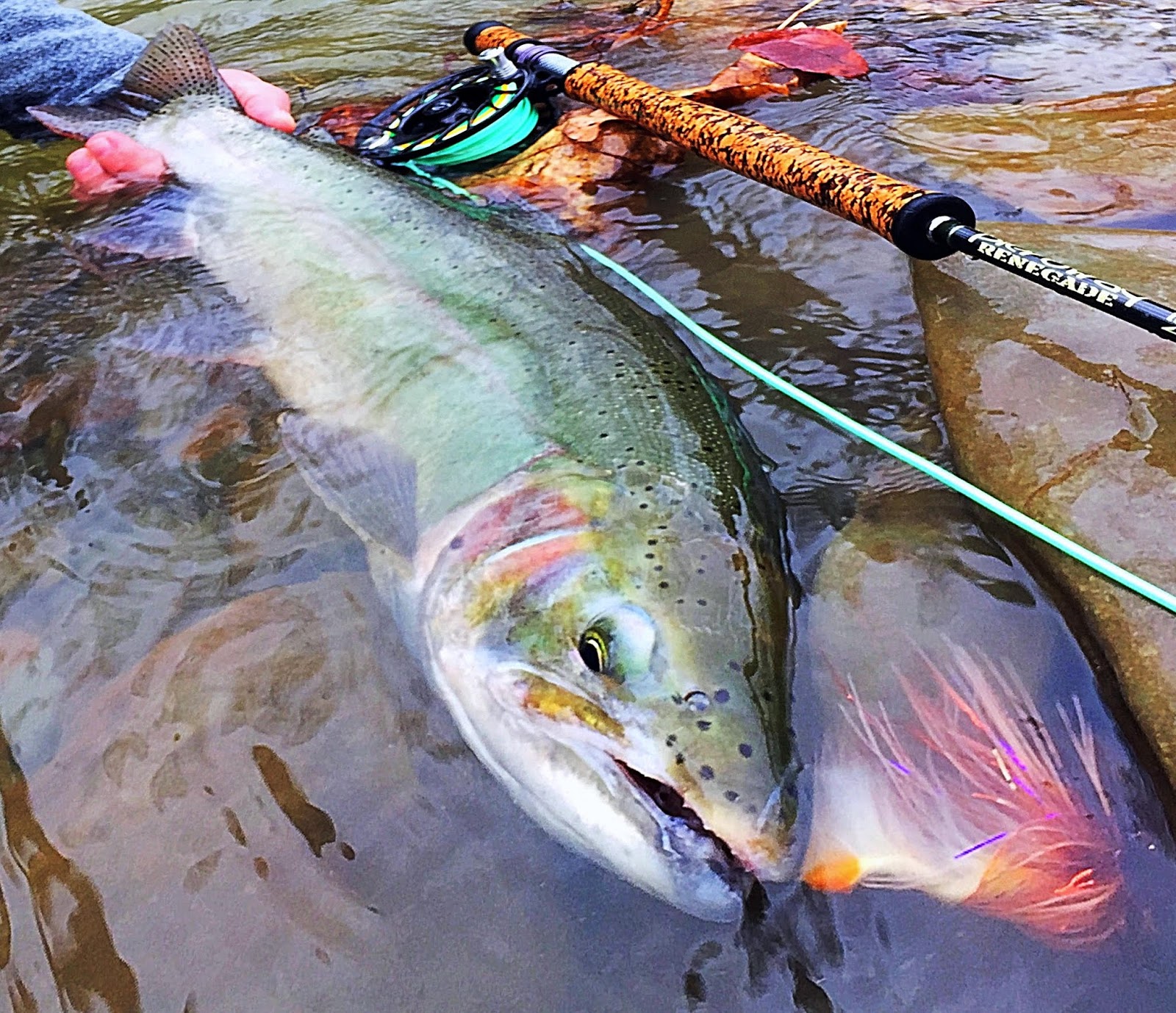 The Fiberglass Manifesto: GREG SENYO FLY TYING - Website Launch & Discount