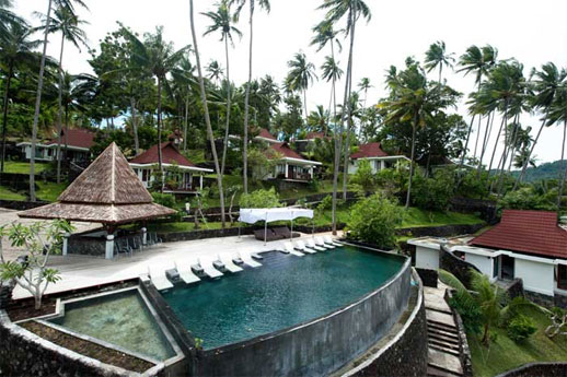 Lembeh Straits Travel your amazing dive with unique Nudibranch - Trevindos