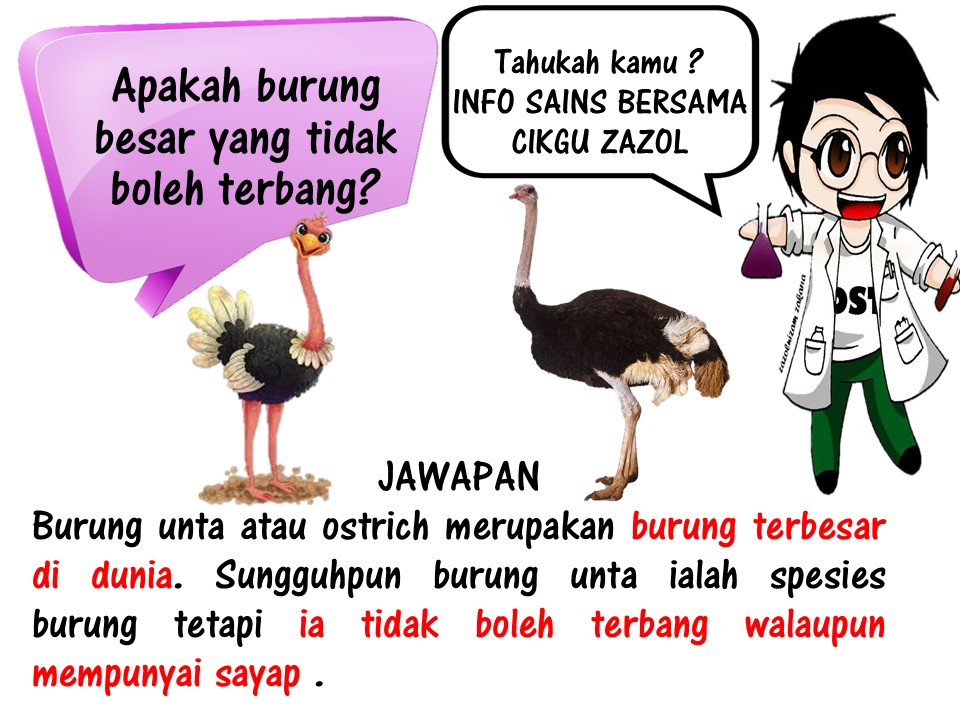 ZAZOLNIZAM BIN ZAKARIA: Info Sains SEkolah Rendah