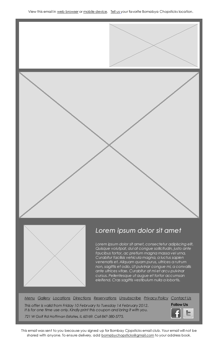Dzyn Bucket: Wireframe for Email Newsletter