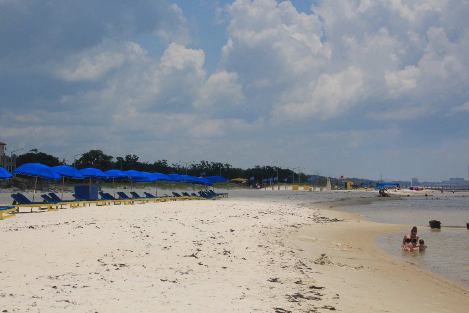 Not Whistling Dixie: Mi double s,i double s, i double p, i