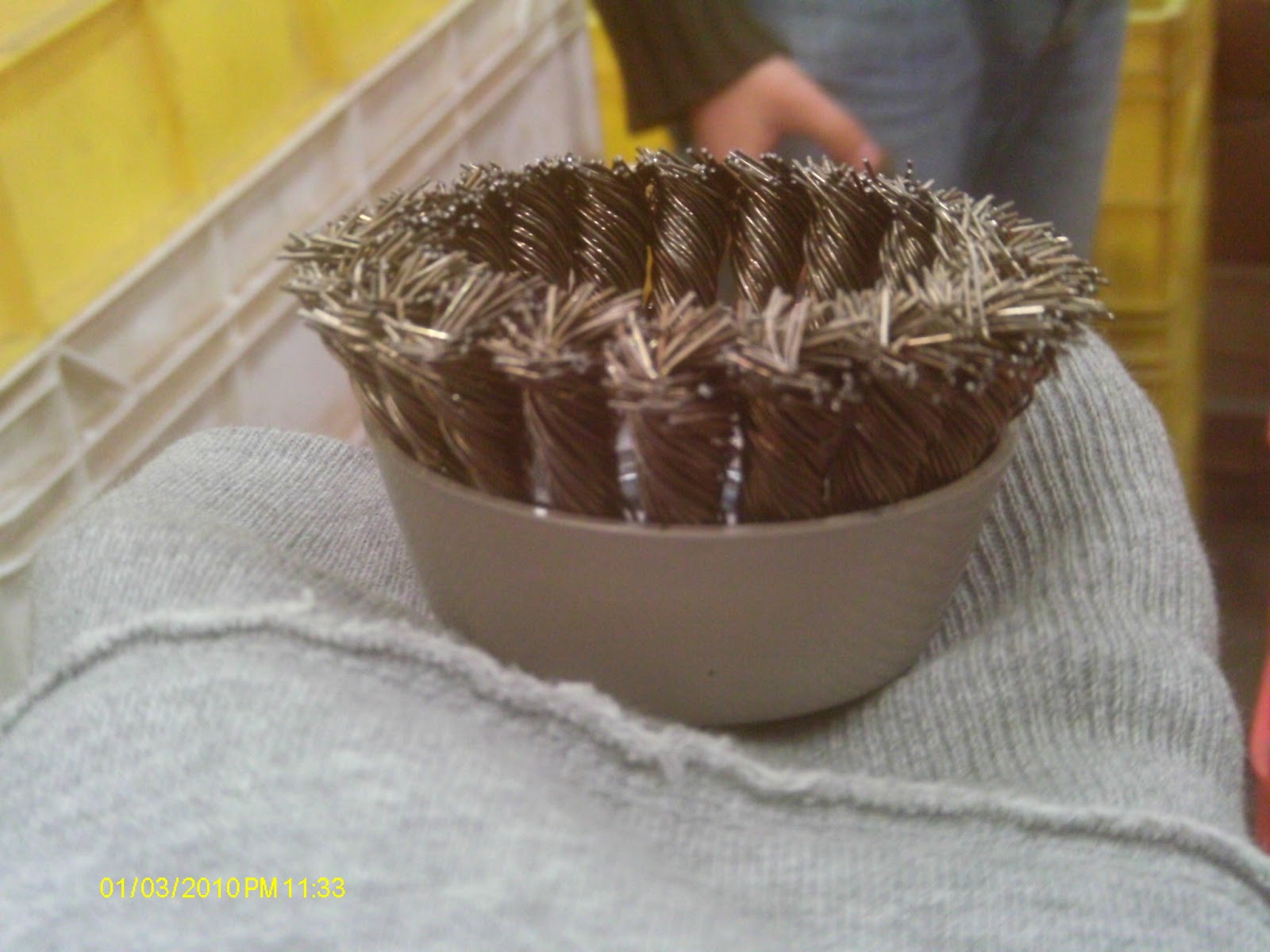 Alex Josowitz's Plus3 Chile Experience: May 14: Tools, Tomatoes, and ...