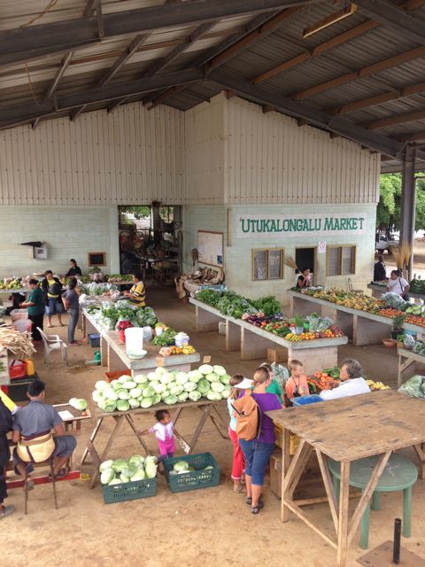 Off to Sea the Wizard: Tonga!