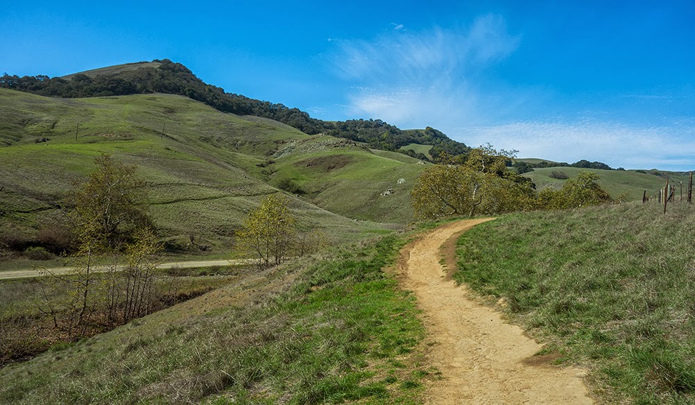 Merikay's Dream : Johnson Ranch, San Luis Obispo