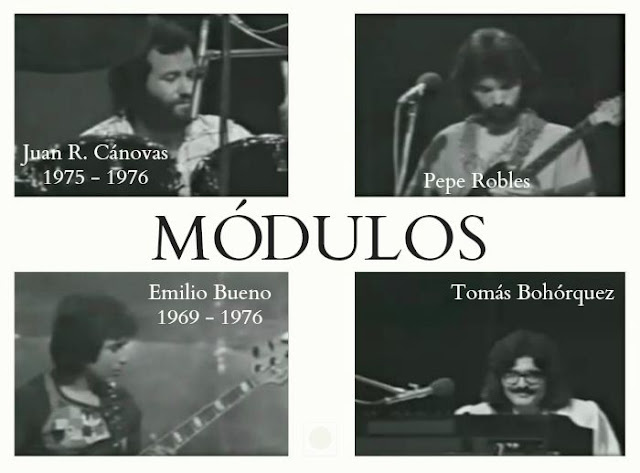 DE LO POSIBLE SE SABE DEMASIADO: MÓDULOS