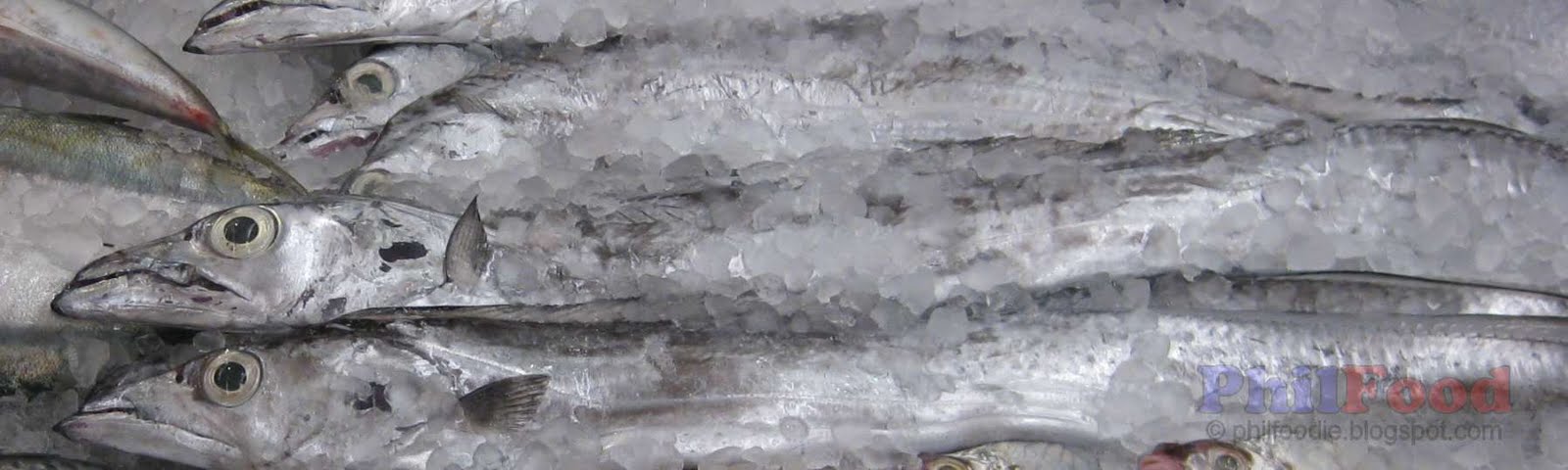 Philippine Fish Species - List of Common Fish in the Philippines ...