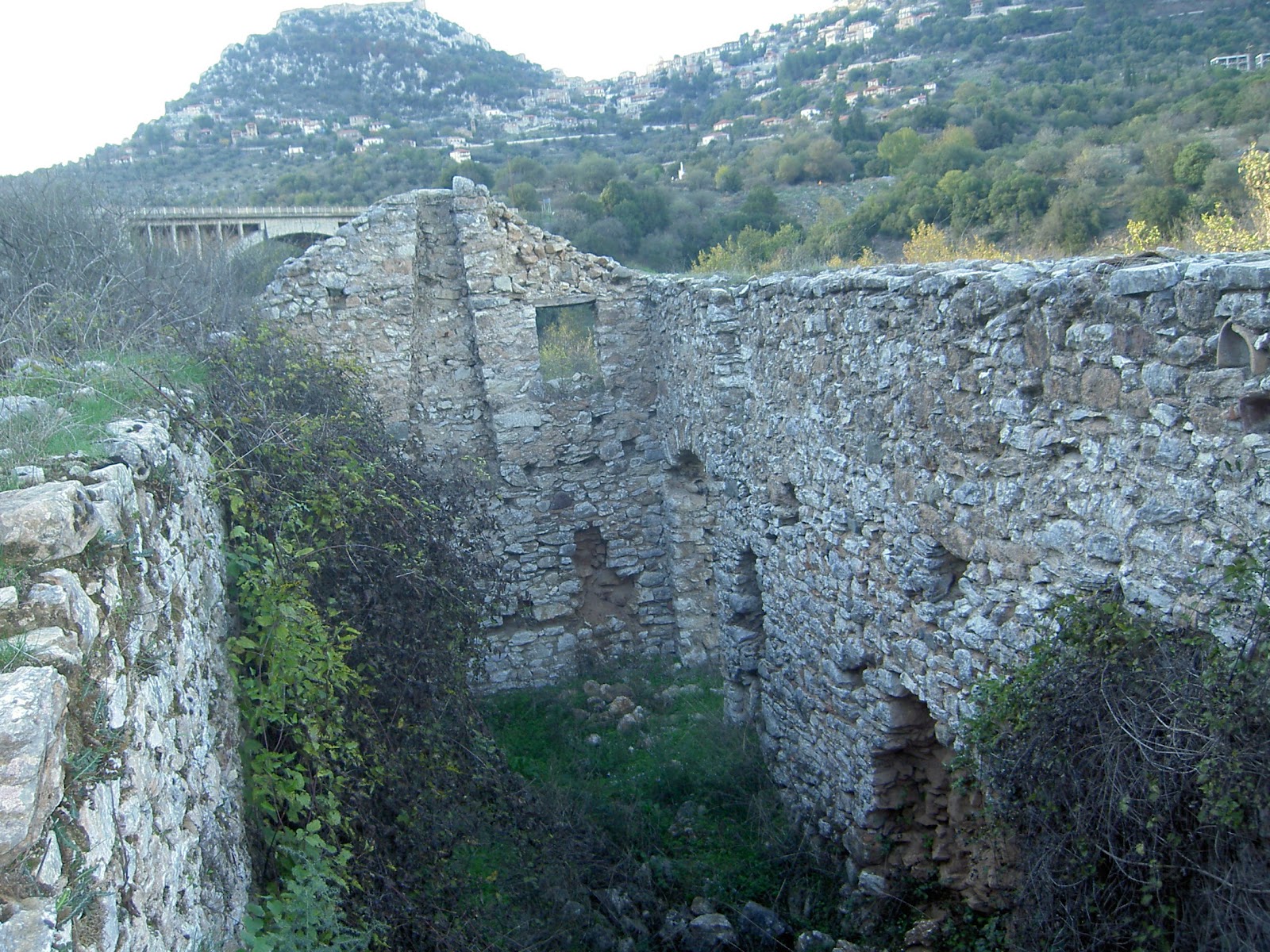 ΓΙΑΝΝΗΣ Δ.ΛΥΡΑΣ: ΕΝΑ ΜΙΚΡΟ ΑΦΙΕΡΩΜΑ ΣΤΗΝ ΚΑΡΥΤΑΙΝΑ