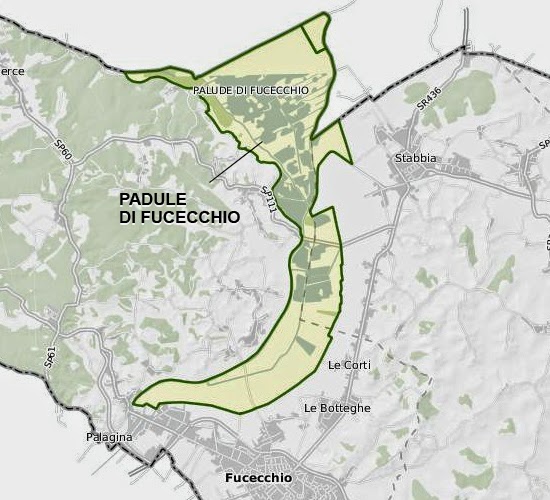 Il Padule di Fucecchio è la più estesa area paludosa interna presente ...