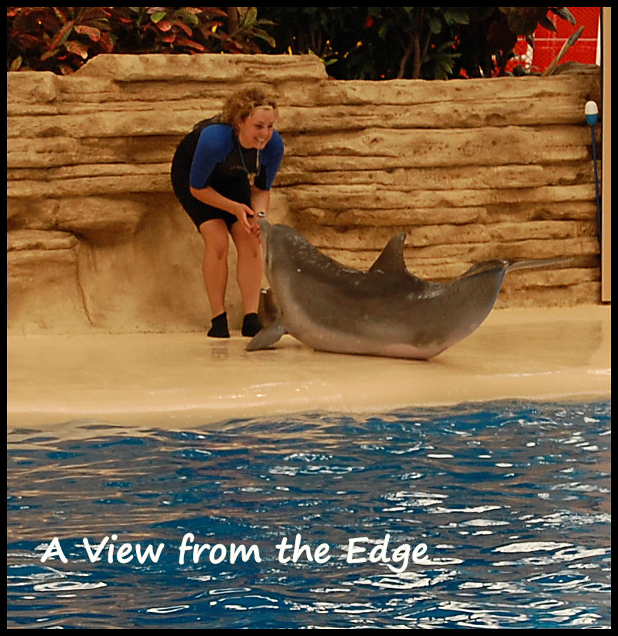 A View from the Edge: Hanging out at the Zoo Part 2
