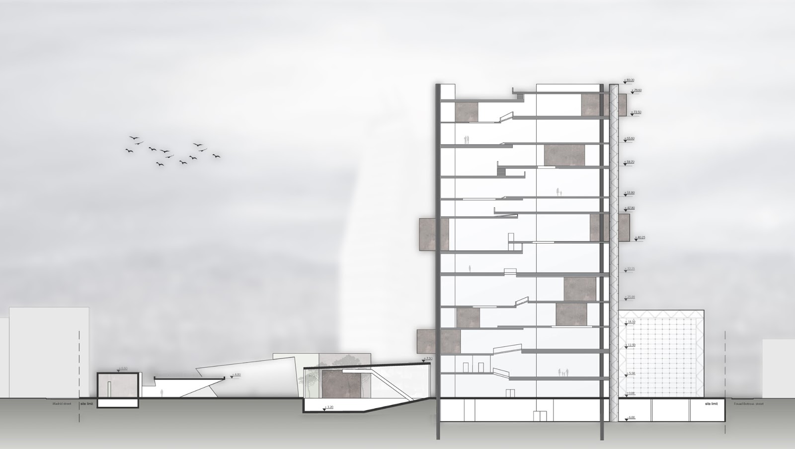 DIAGRAMMATIC METAMORPHOSES: Jessica Nassar - Vertical Corridor