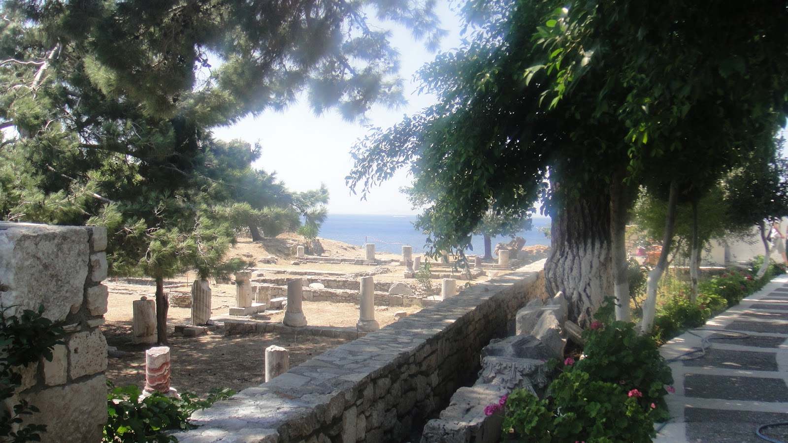 Ταξιδεύοντας στα σύννεφα..: ΠΥΘΑΓΟΡΕΙΟ ΚΑΙ ΚΟΚΚΑΡΙ ΣΑΜΟΣ