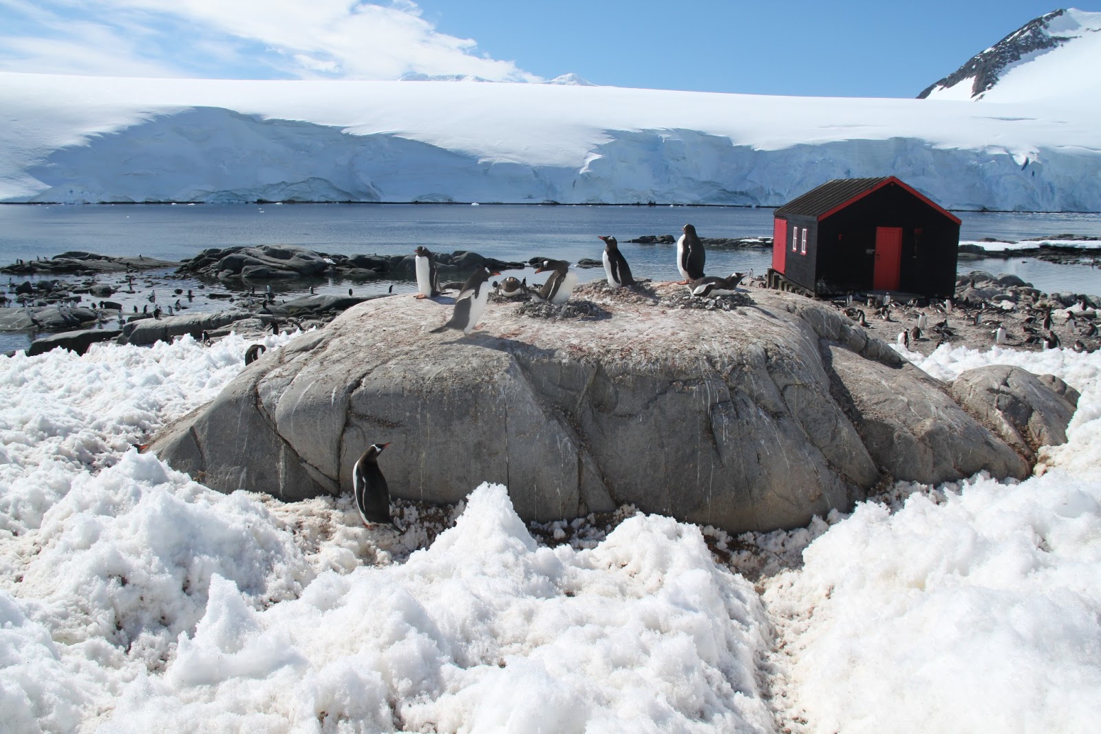 1000 Amazing Places: #845 Port Lockroy, Antarctica