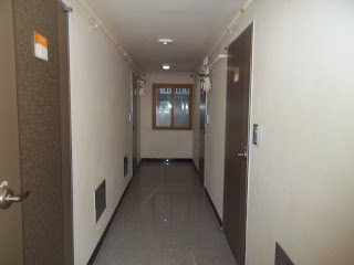 Mrs. Cooperman's Korean Trip: Day in the life of Mrs. Cooperman in Korea