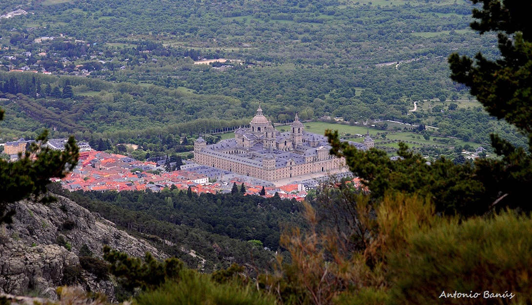 APRENDIENDO CON LA VISTA: Insectos a 1750 msnm en el monte Abantos.