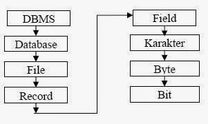 た khoko_Uchihar づ: Perbedaan Field, Record dan File