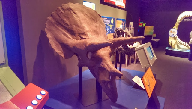 Sasaki Time: Discovery Science Center Spooky Science and The Science of ...