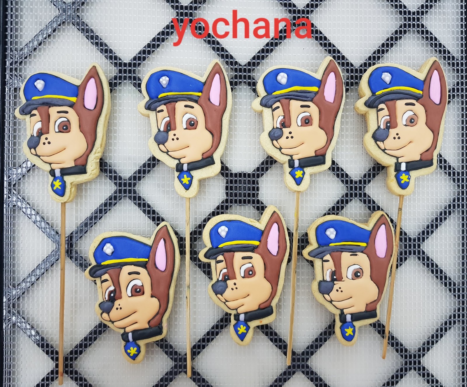 Yochana's Cake Delight! : PP Chase cookie