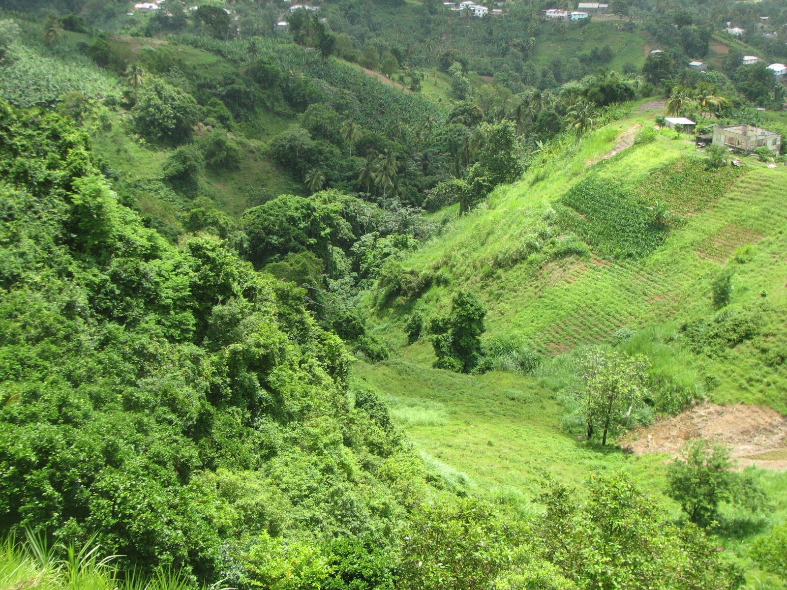 Saint Vincent and the Grenadines: On the Road to Mespo