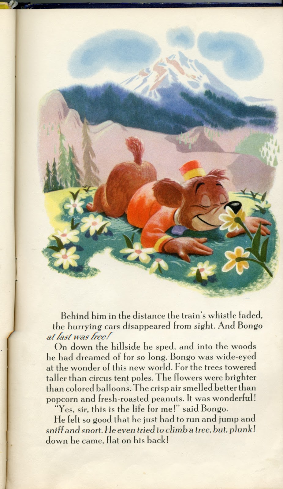 Deja View: More Bongo