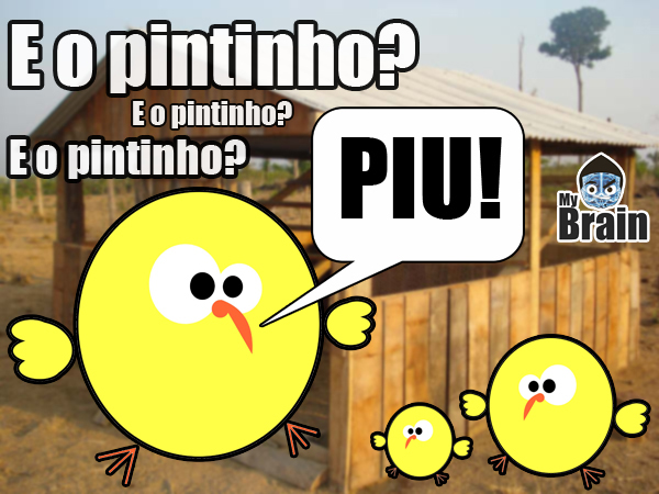 MY BRAIN: E o pintinho?