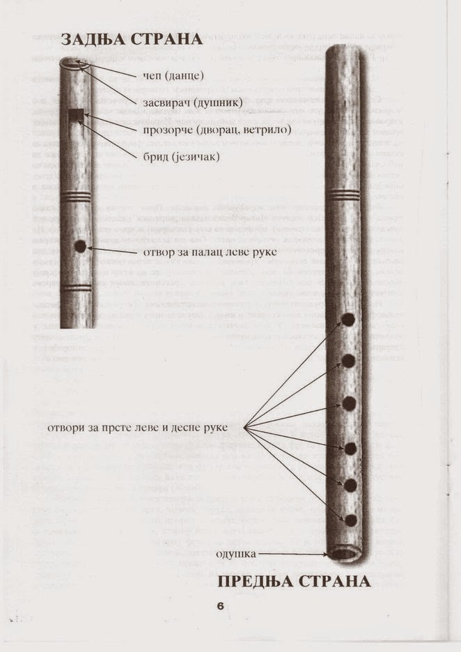 ~ FRULA | LEKCIJE ~: PRSTORED FRULA