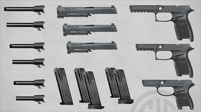DarwinCatholic: The Army's New Modular Handgun
