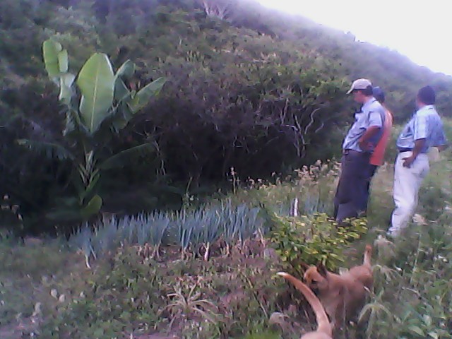 Parque Temático Bosque Macuto