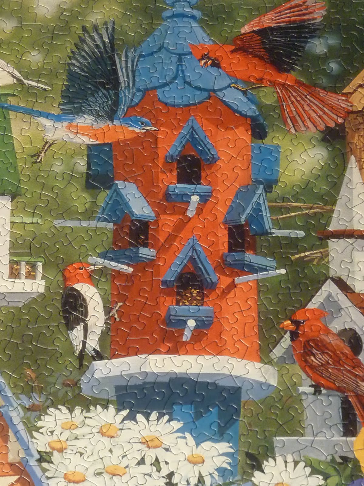 Jigsaw Puzzle Maniac