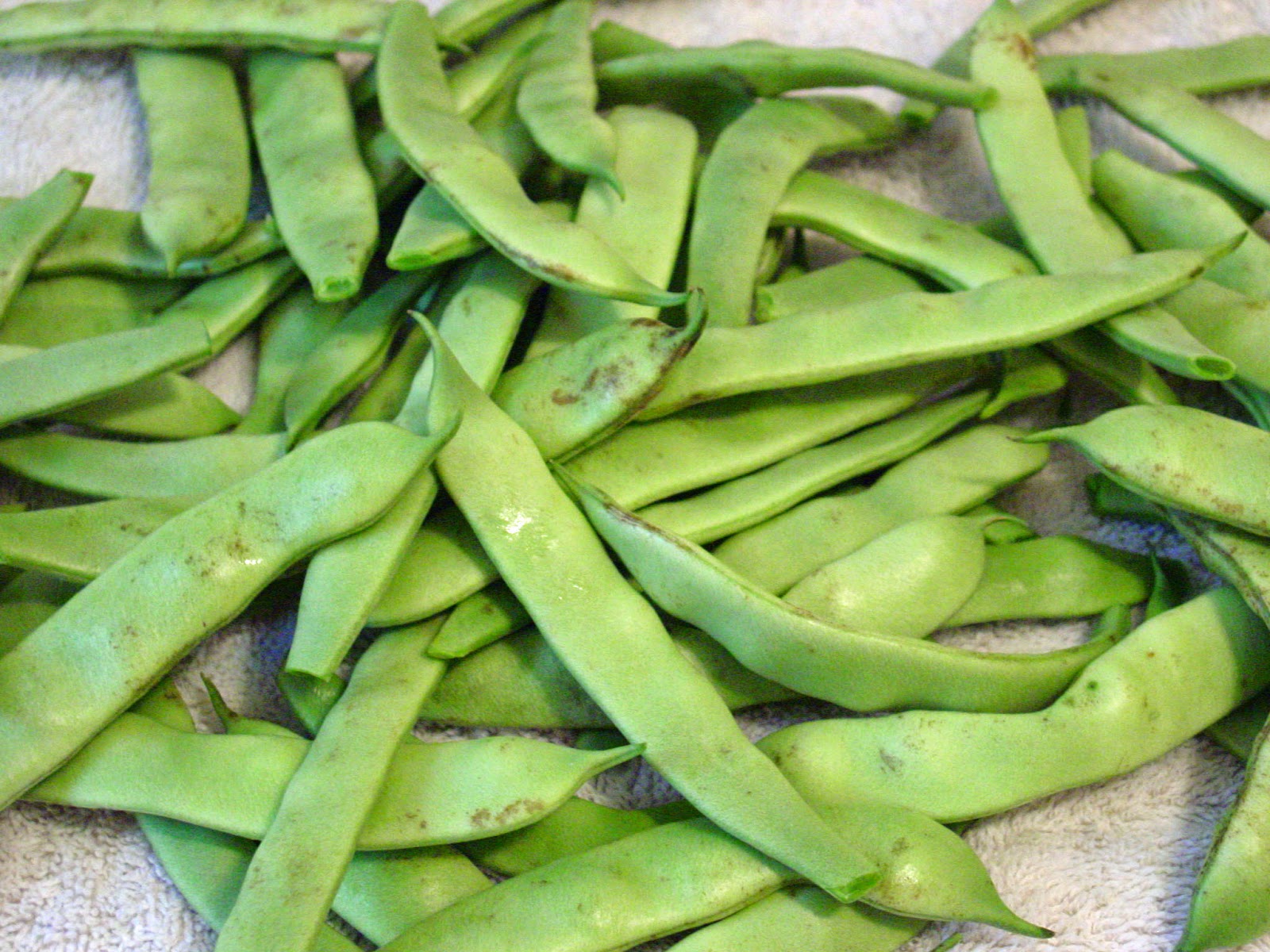 Soup Spice Everything Nice: Green Beans in Garlic Black Bean Sauce