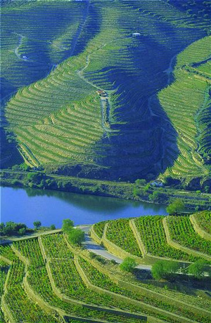 duas ou três coisas: O Douro e a UNESCO