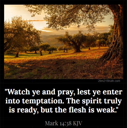 2 Timothy 2:15 Truth: Verse of the Day: Mark 14:38 KJV