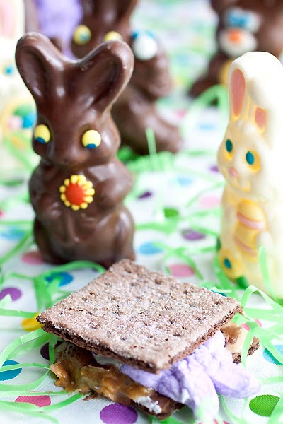 The Cooking Photographer: Beevil the Evil Returns with More S'mores