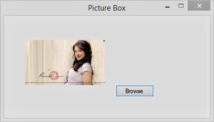 How to set PictureBox Image using OpenFileDialog or Bitmap Class: WindowsForms