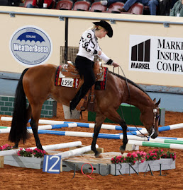 AP Quarter Horses: Practicing Trail Course Obstacles