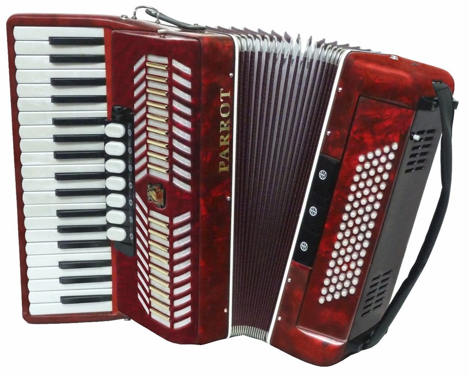 ACTIVIDADES: ACORDEON