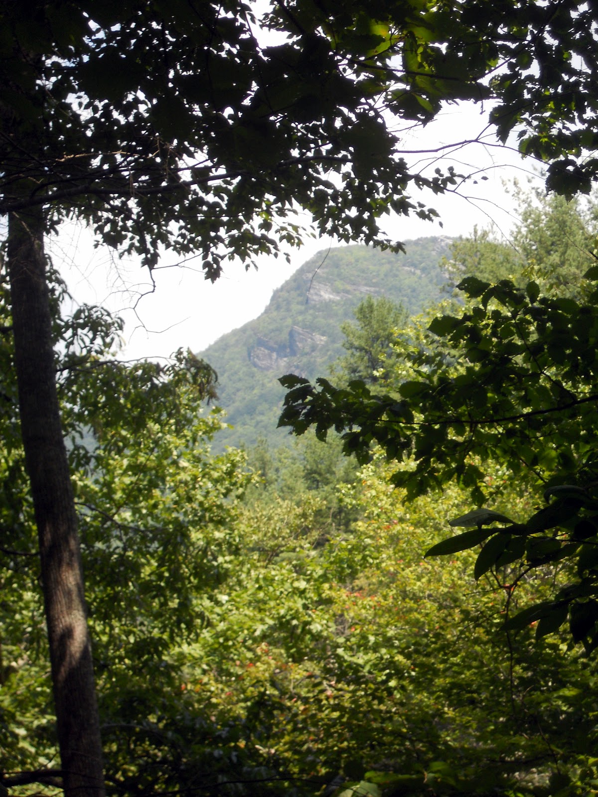 Hiking with a Fat Bald White Guy: Linville Gorge - Spence Ridge ...