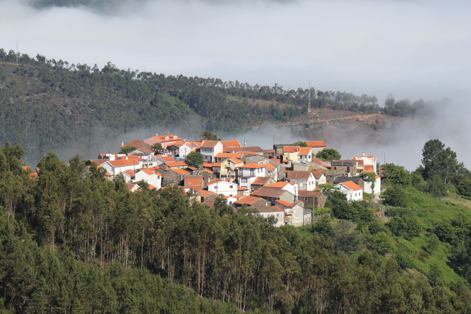 União e Progresso do Carvalhal: Carvalhal