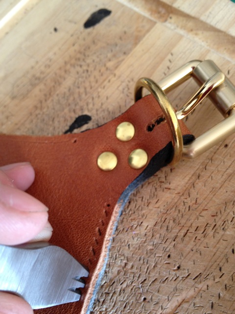 Rocky's Blog: Dot.Dog