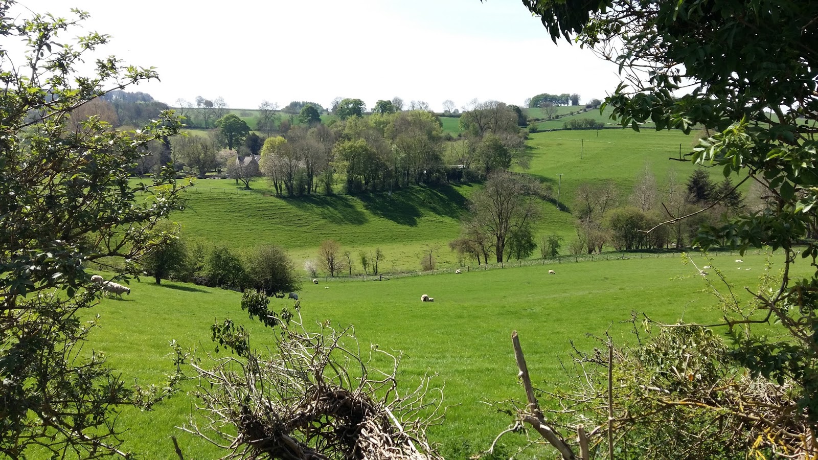 Cotswolds Travel: Idyllic Circular Walk Around Turkdean, Hazelton, and ...