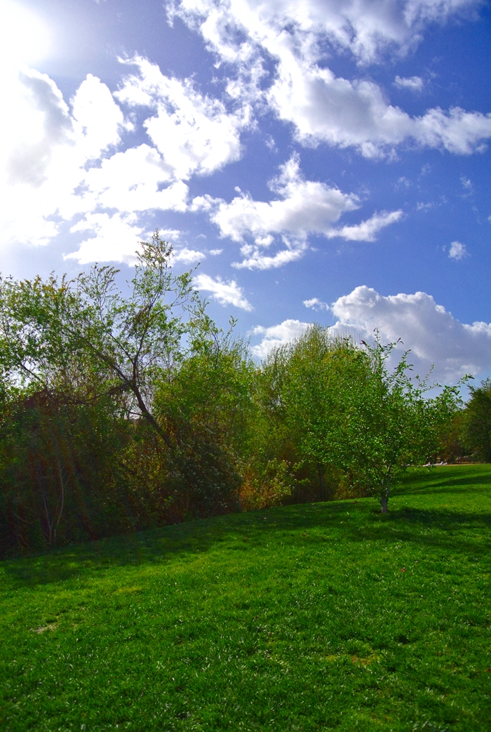 HAPPYHAZEL: Happy Sunday with Happy! Happiness is Yours! :D