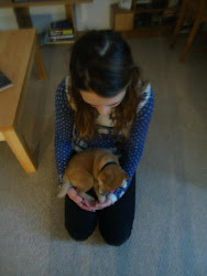 Obi Chan Shinobi san