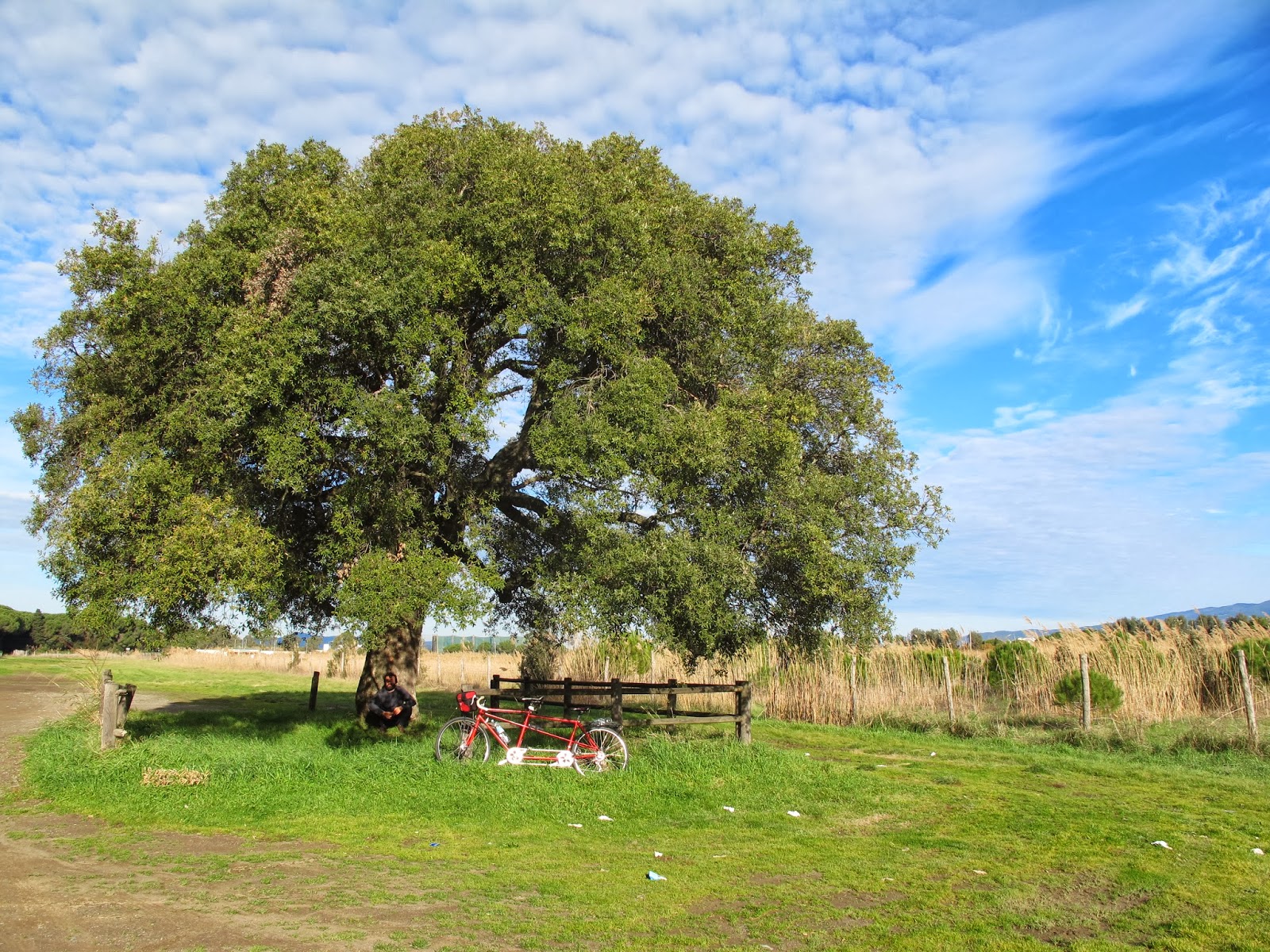 Godimundi: La macchia della Magona